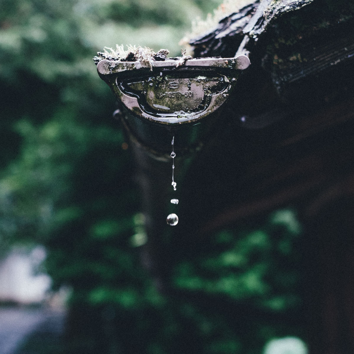 Kyoto through the Eyes of Street Photographer Takashi Yasui | Will Fly ...