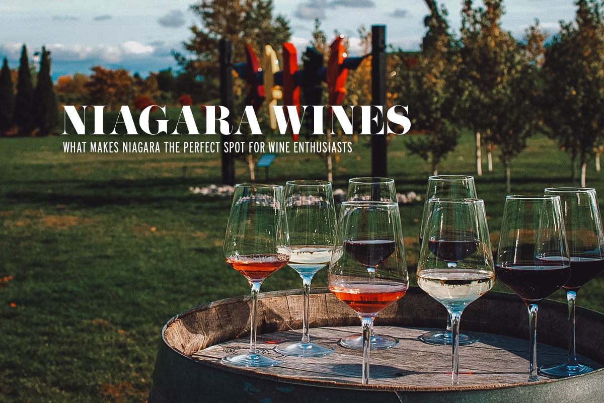 Niagara Wineries: Making Great Wine in Canada | Will Fly for Food